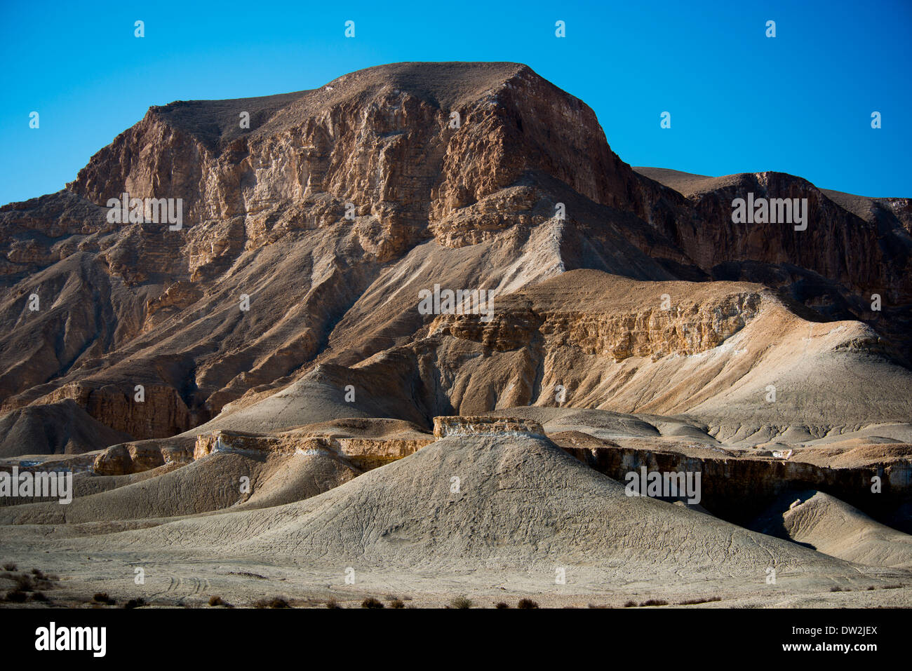 Negev Desert,Wadi Zin, Wilderness of Zin , Israel Stock Photo - Alamy