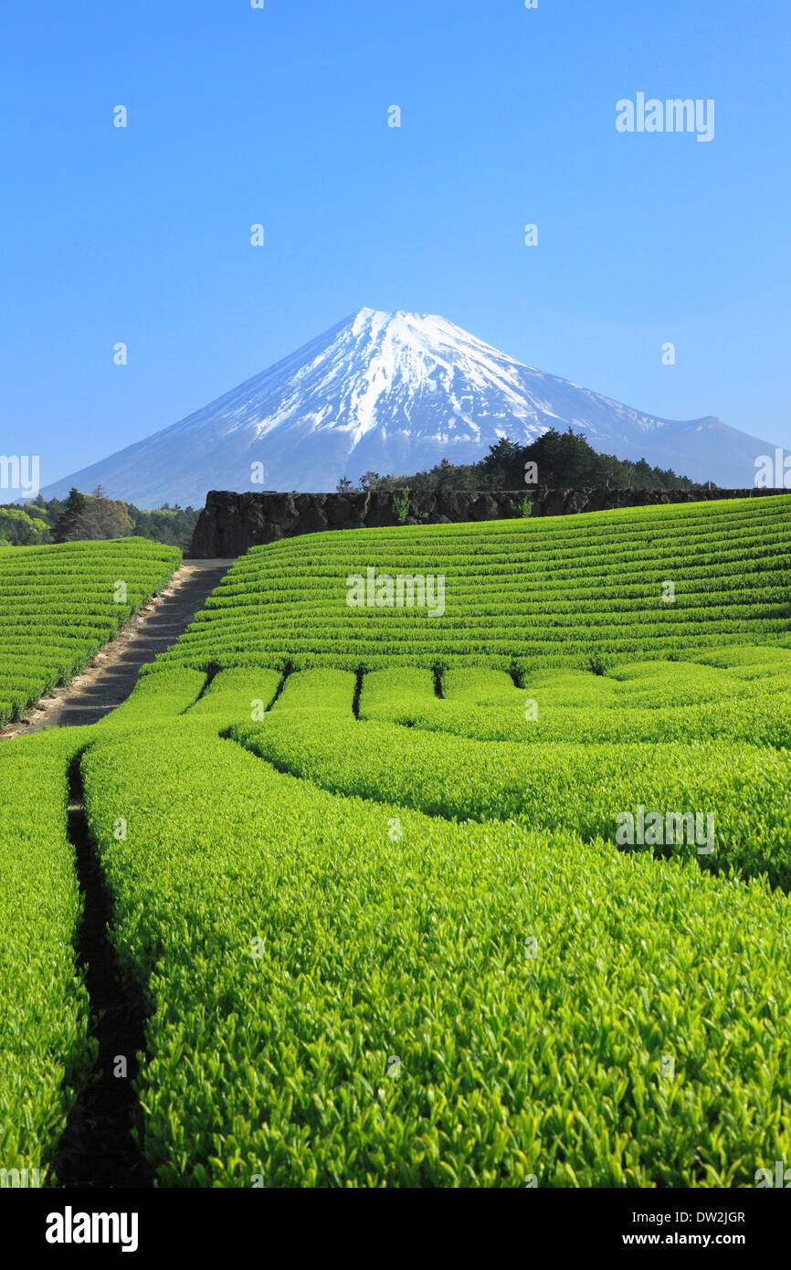 Obuchi hi-res stock photography and images - Alamy