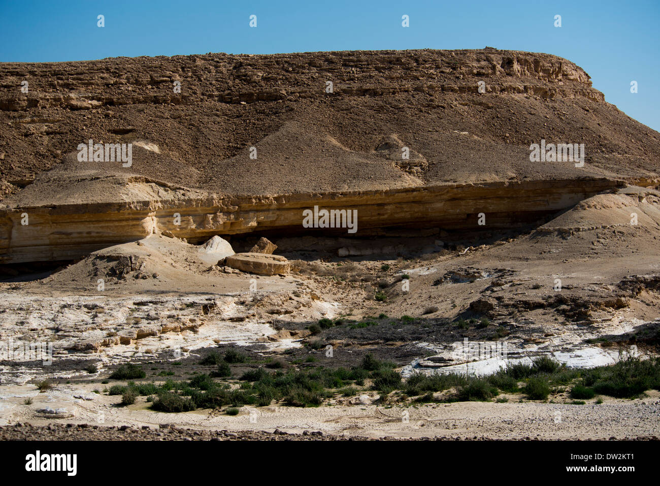 Negev Desert,Wadi Zin, Wilderness of Zin , Israel Stock Photo - Alamy