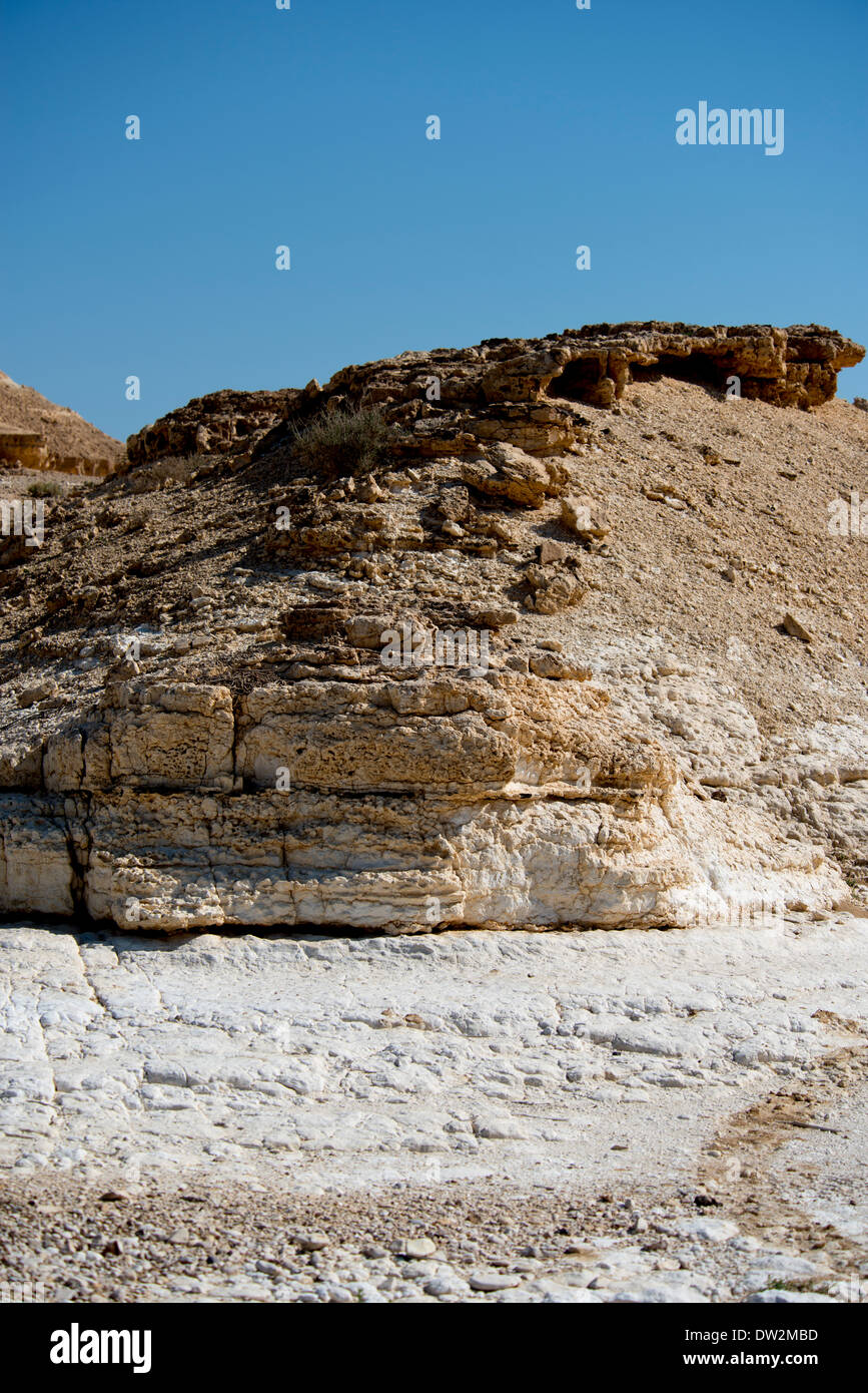 Negev Desert,Wadi Zin, Wilderness of Zin , Israel Stock Photo - Alamy