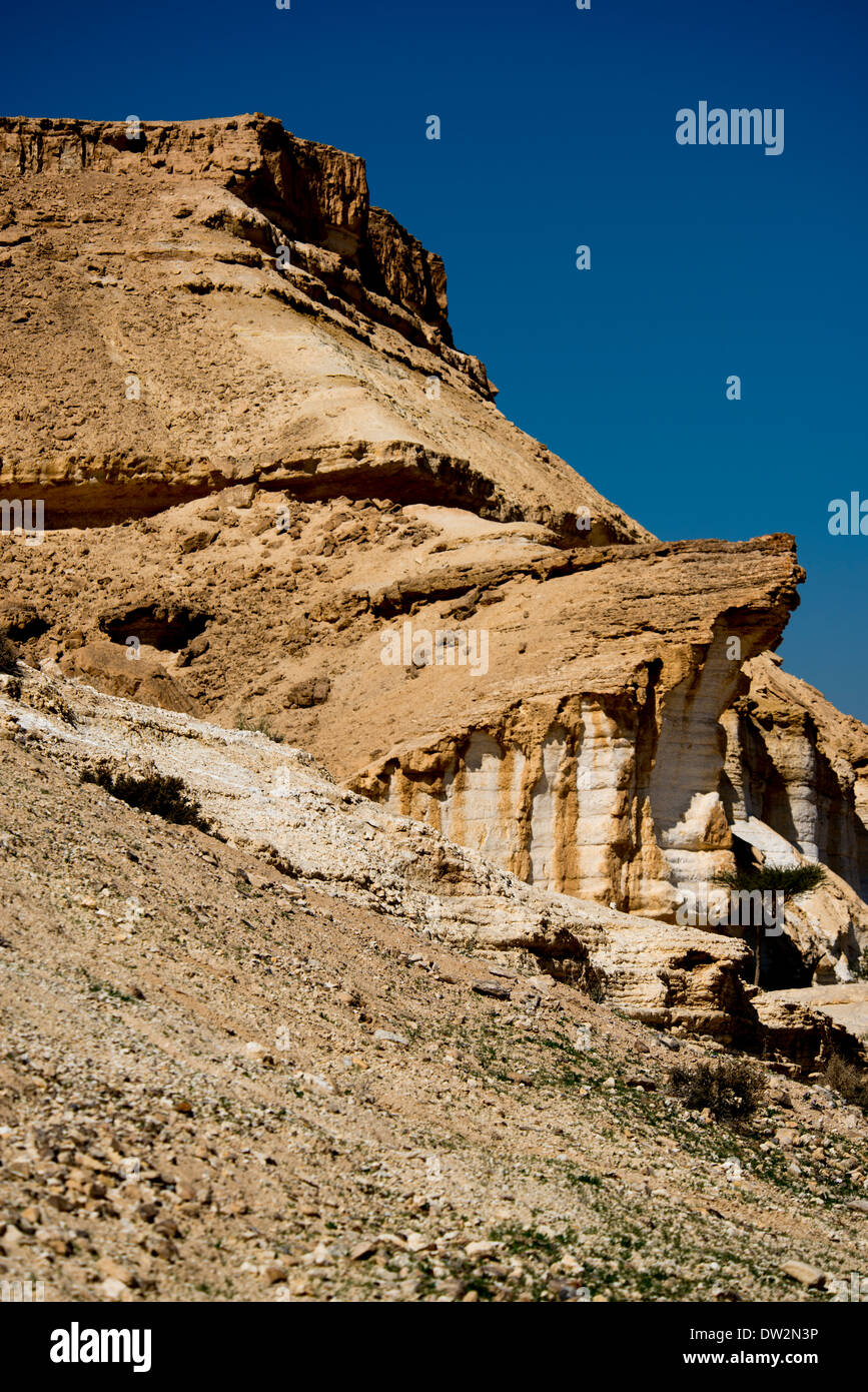Negev Desert,Wadi Zin, Wilderness of Zin , Israel Stock Photo - Alamy
