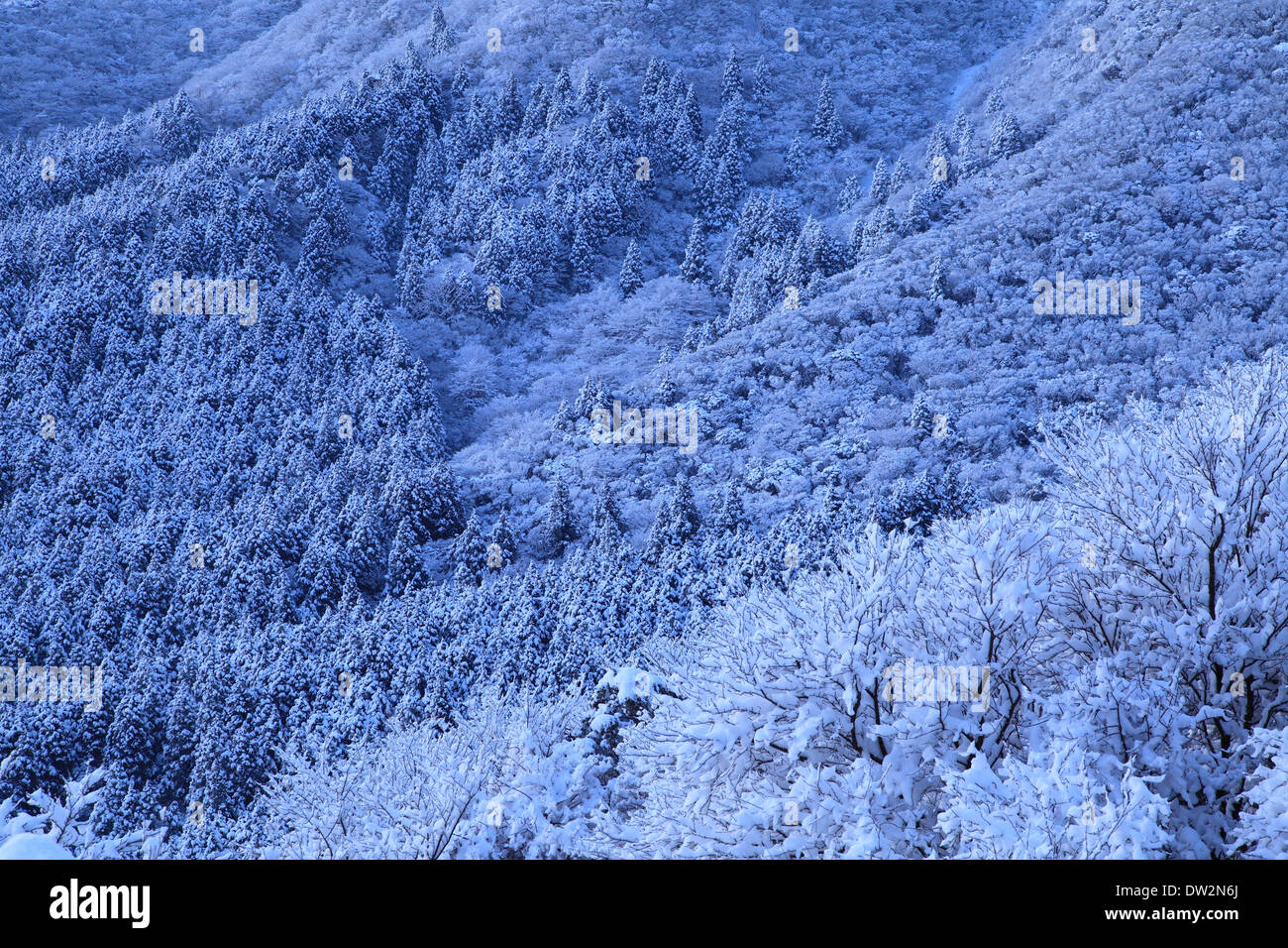 Snow at Izu Peninsula, Shizuoka Prefecture Stock Photo - Alamy