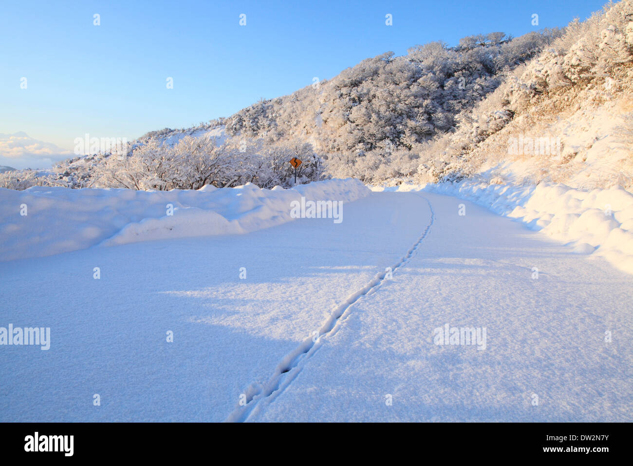 Snow at Izu Peninsula, Shizuoka Prefecture Stock Photo - Alamy
