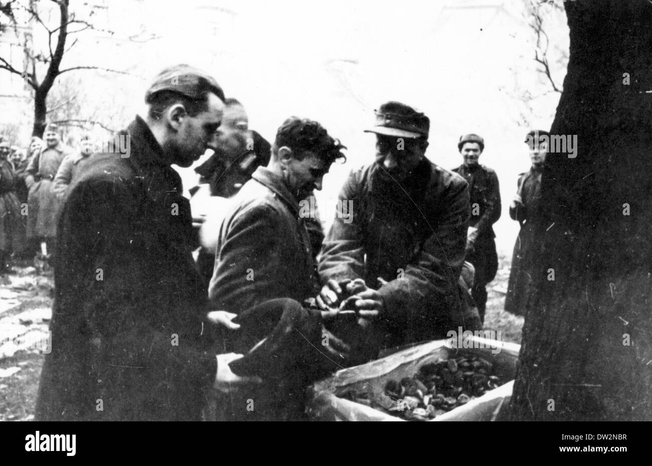 End of the war in Berlin 1945 - Soviet soldiers distribute food to ...