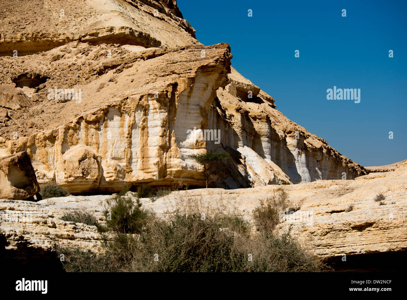Negev Desert,Wadi Zin, Wilderness of Zin , Israel Stock Photo - Alamy