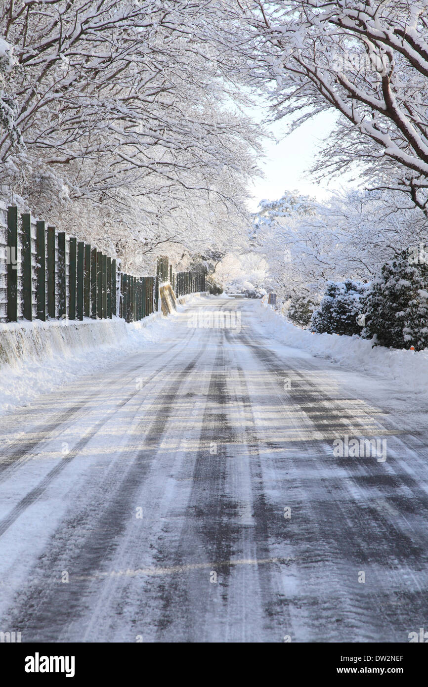 Snow at Izu Peninsula, Shizuoka Prefecture Stock Photo - Alamy