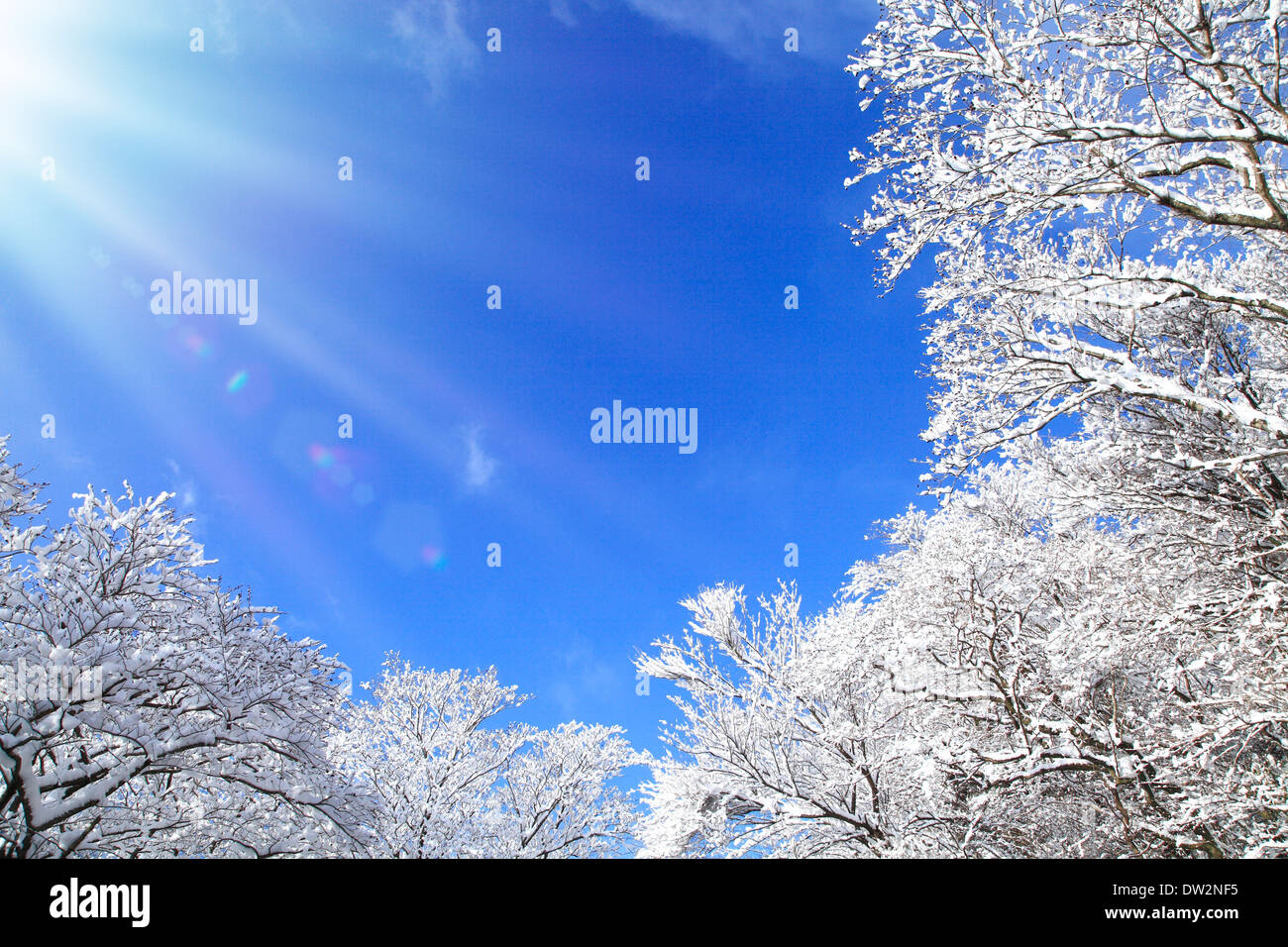 Snow At Izu Peninsula High Resolution Stock Photography and Images - Alamy