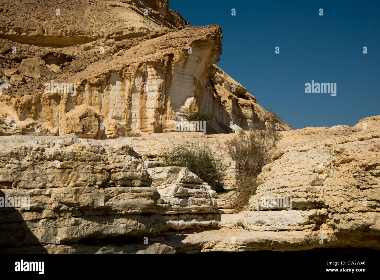 Kadesh barnea hi-res stock photography and images - Alamy