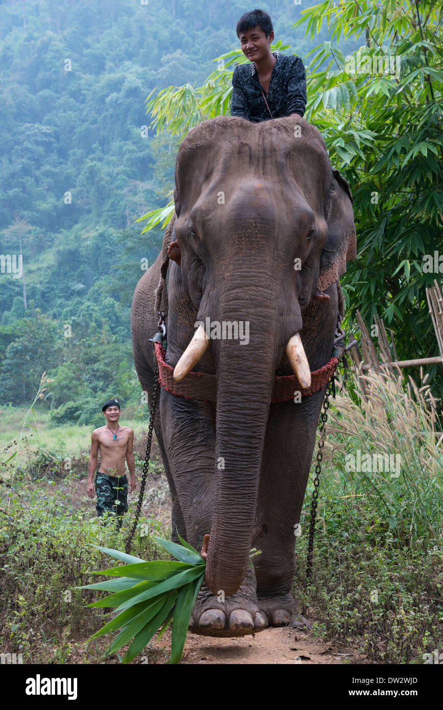 Kndo High Resolution Stock Photography and Images - Alamy