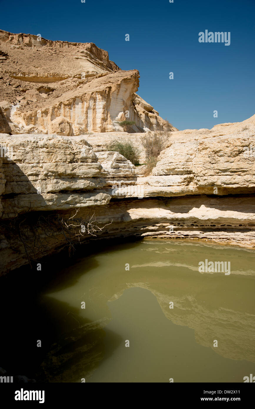 Negev Desert,Wadi Zin, Wilderness of Zin , Israel,oasis and nature ...