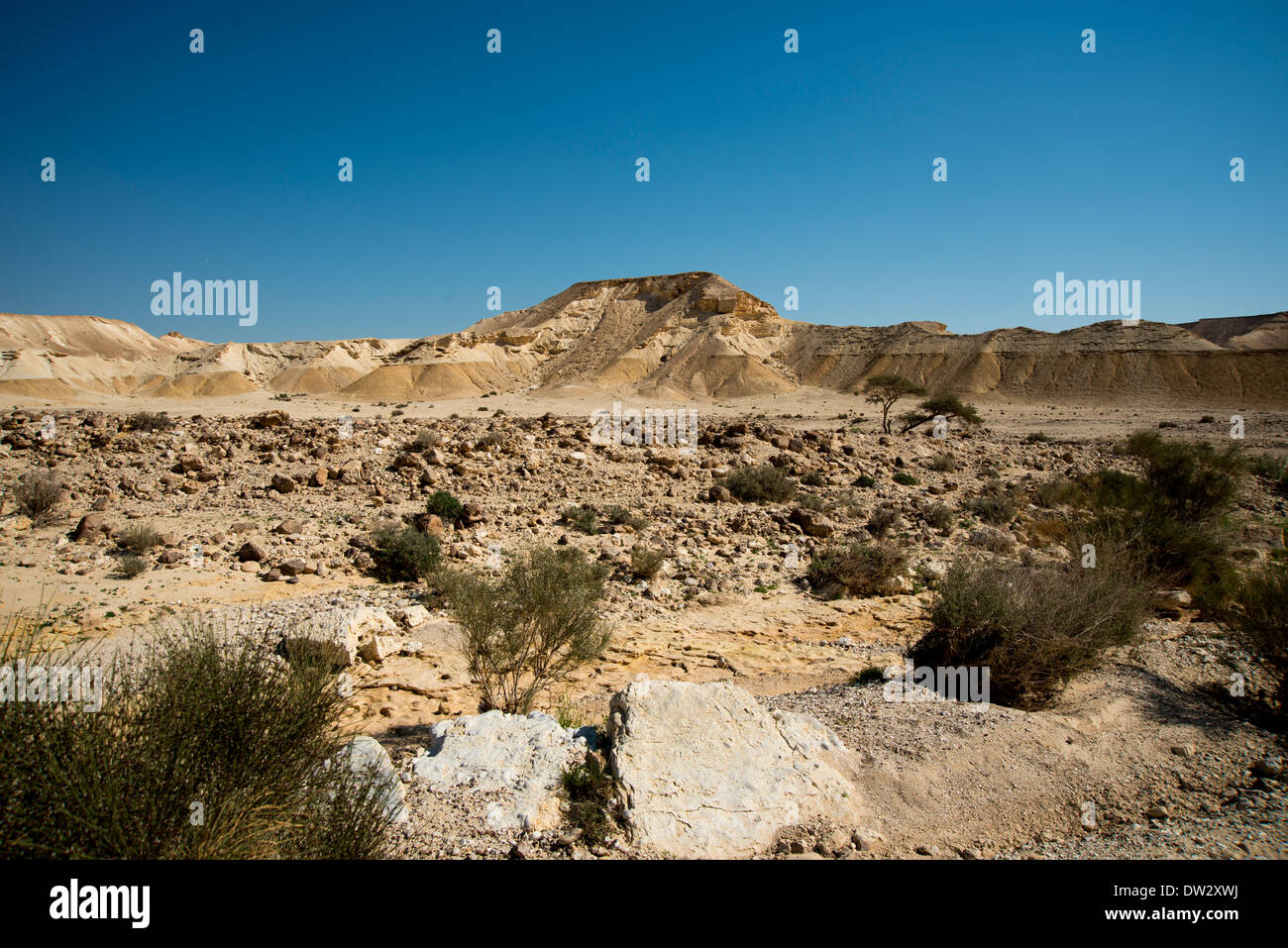 Wilderness of kadesh hi-res stock photography and images - Alamy