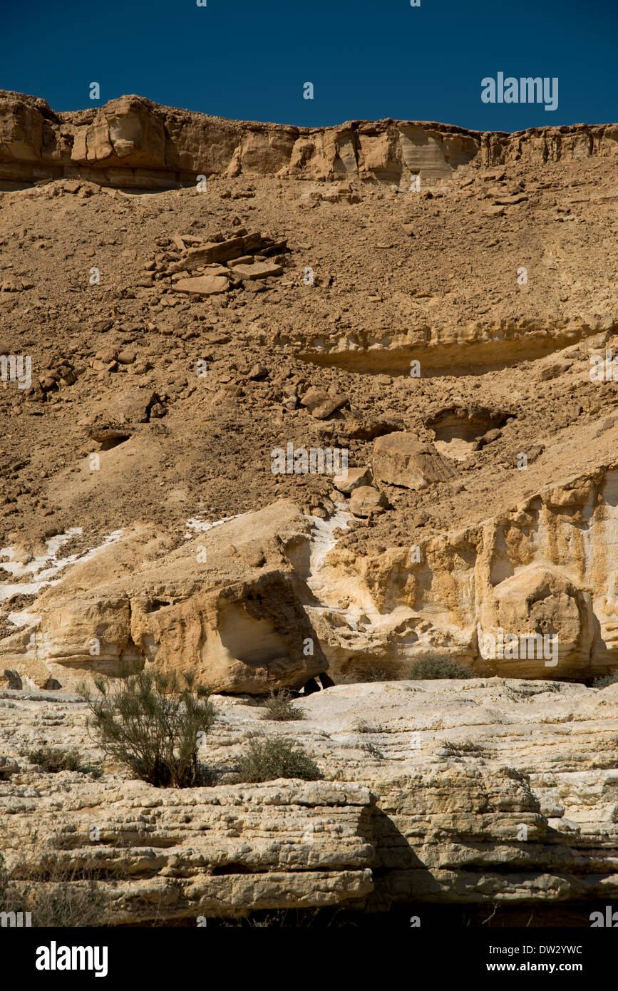 Negev Desert,Wadi Zin, Wilderness of Zin , Israel Stock Photo - Alamy