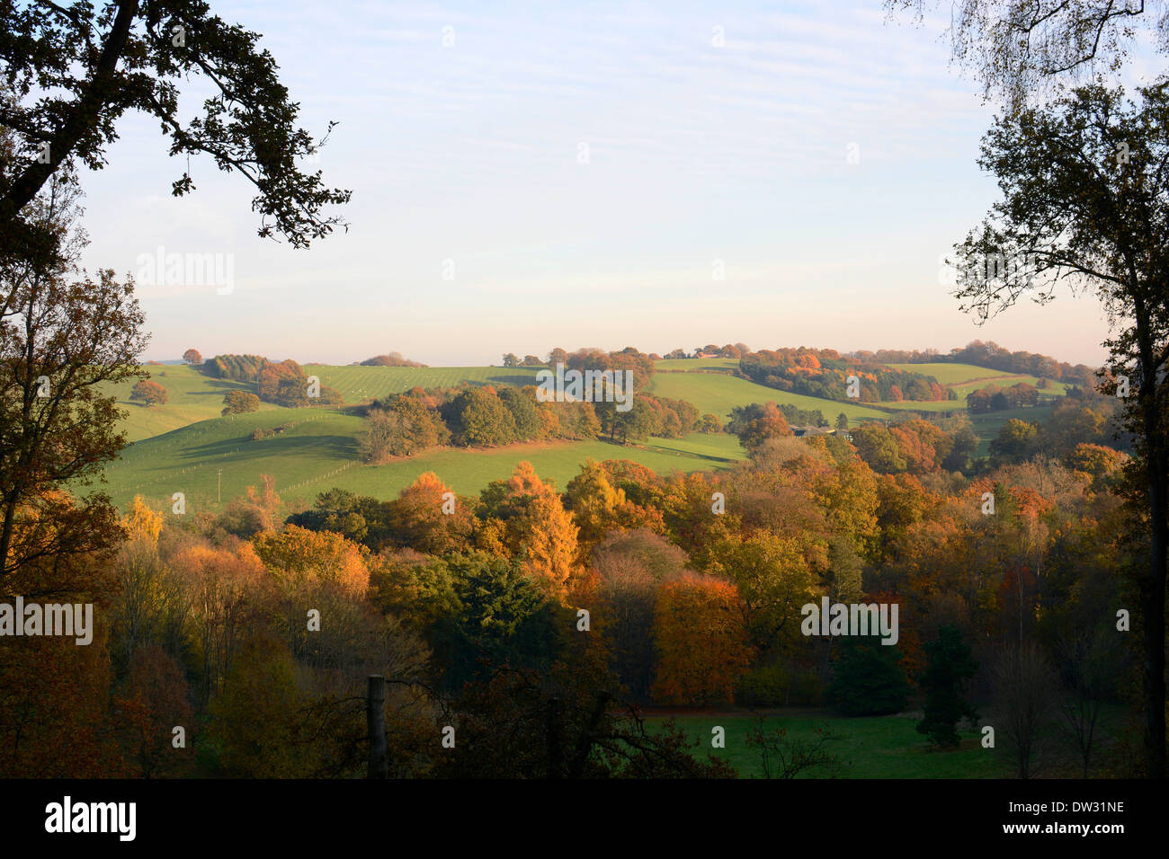 Landscape trees surrey hills hi-res stock photography and images - Alamy