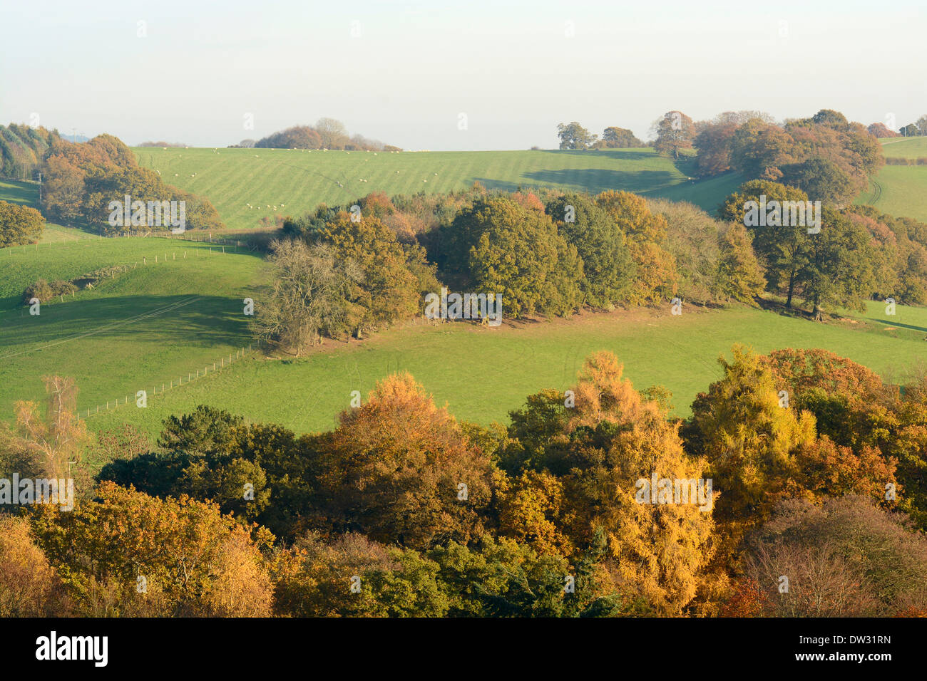Landscape trees surrey hills hi-res stock photography and images - Alamy