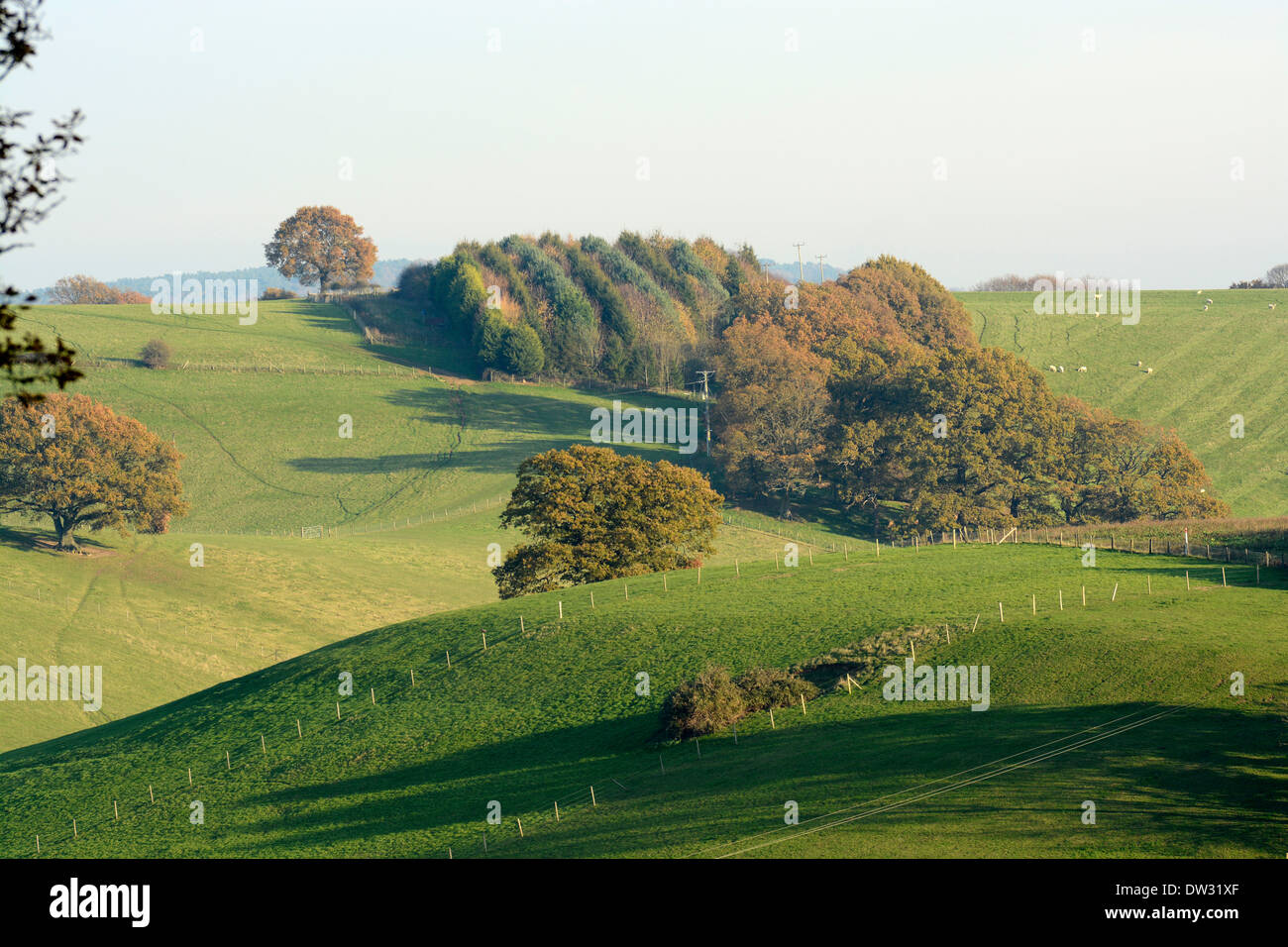 Surrey autumn colours landscape hi-res stock photography and images - Alamy