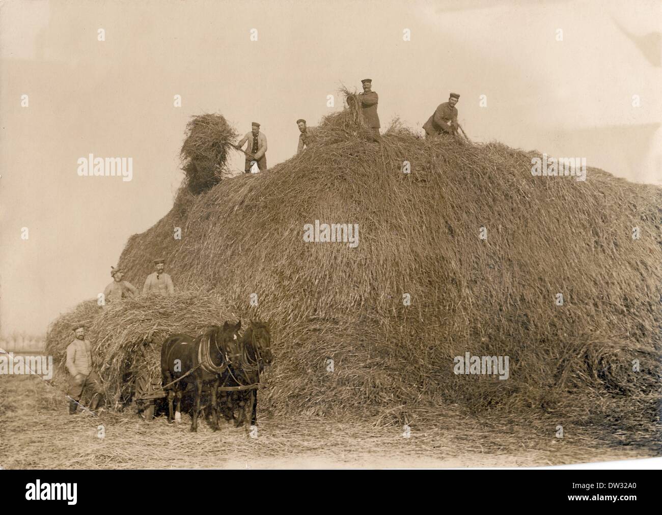 German soldiers bail hay for their locations along the Eastern Front ...