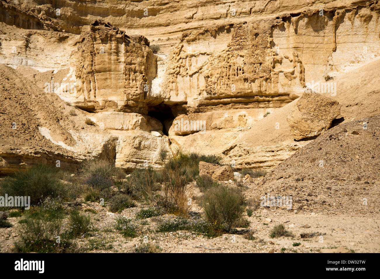 Negev Desert,Wadi Zin, Wilderness of Zin , Israel Stock Photo - Alamy