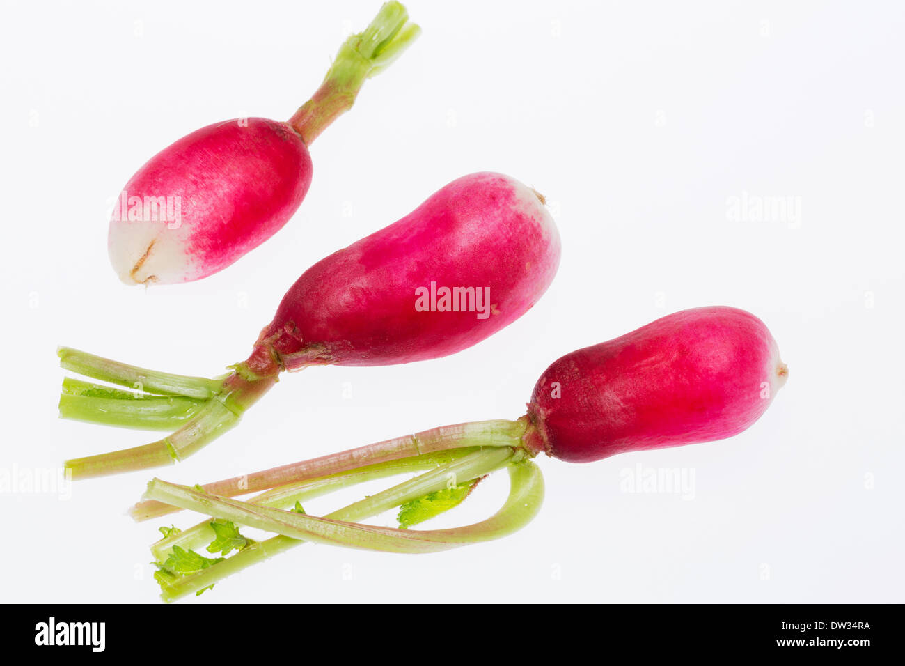 Pink stem radish hi-res stock photography and images - Alamy