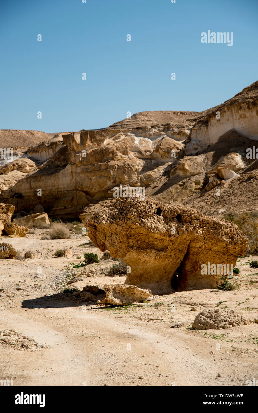 Negev Desert,Wadi Zin, Wilderness of Zin , Israel Stock Photo - Alamy