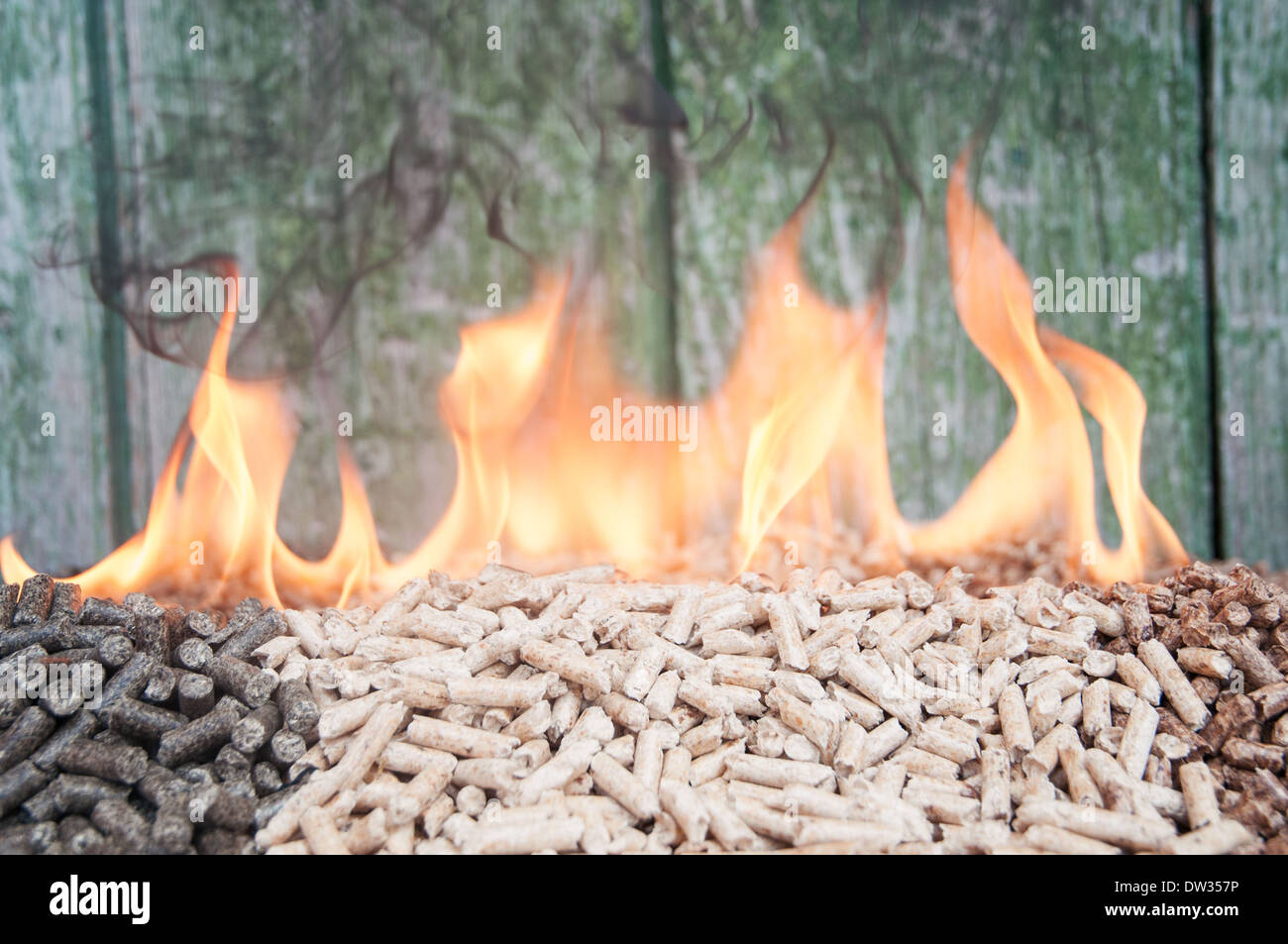 Biomass pellet pellets hi-res stock photography and images - Alamy