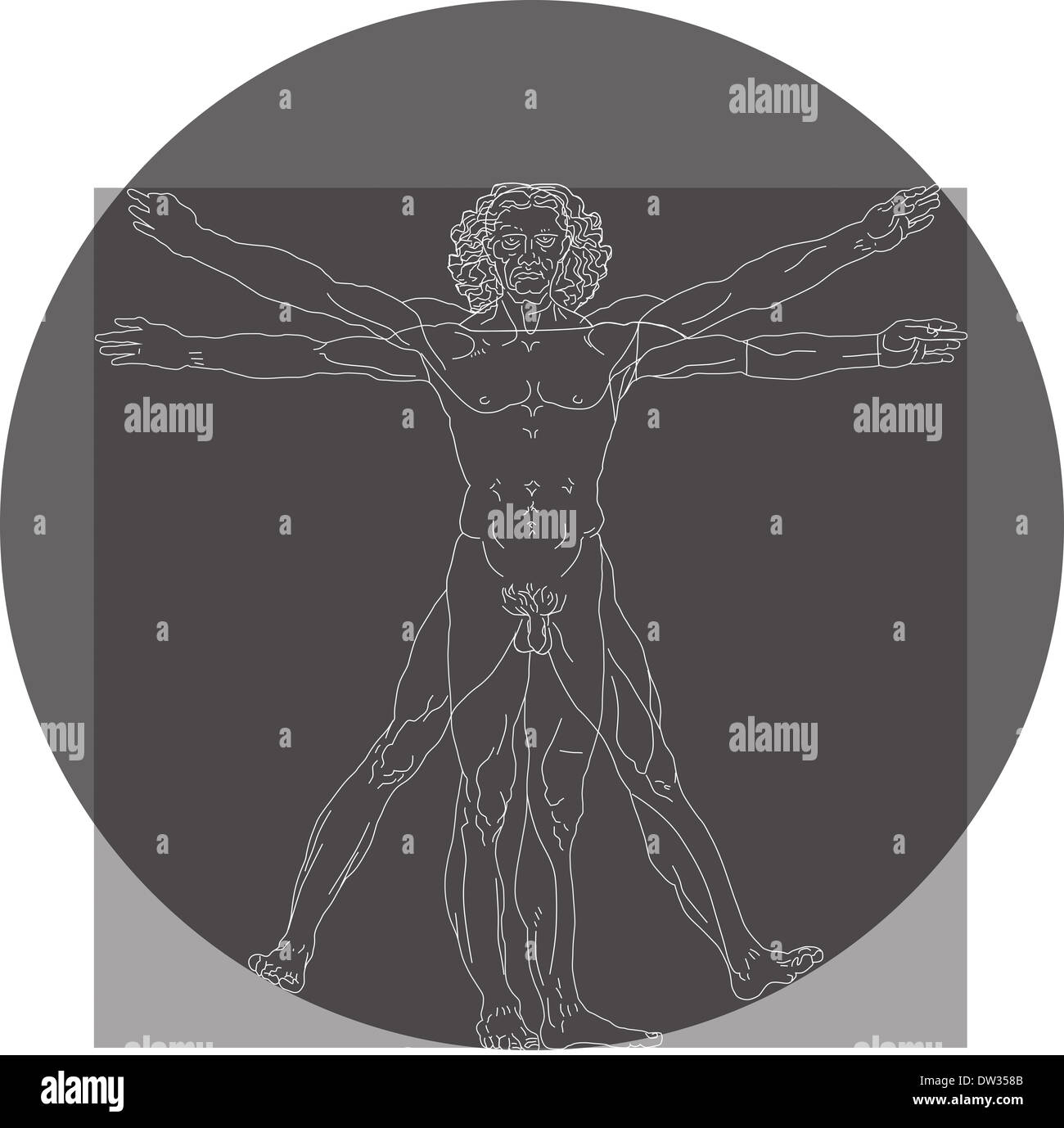 Vitruvius man leonardo da vinci hi-res stock photography and images - Alamy