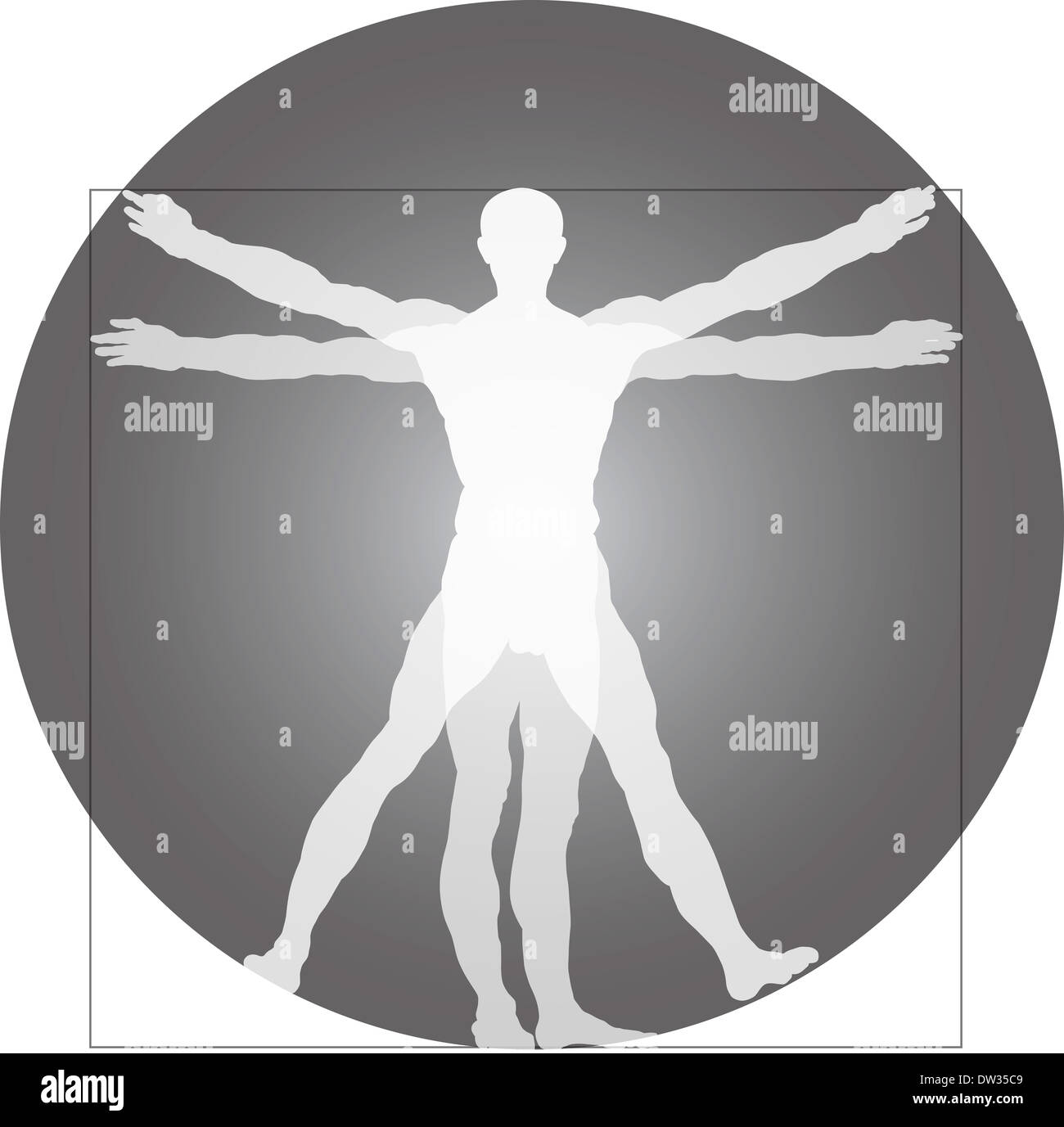 Vitruvius man leonardo da vinci hi-res stock photography and images - Alamy