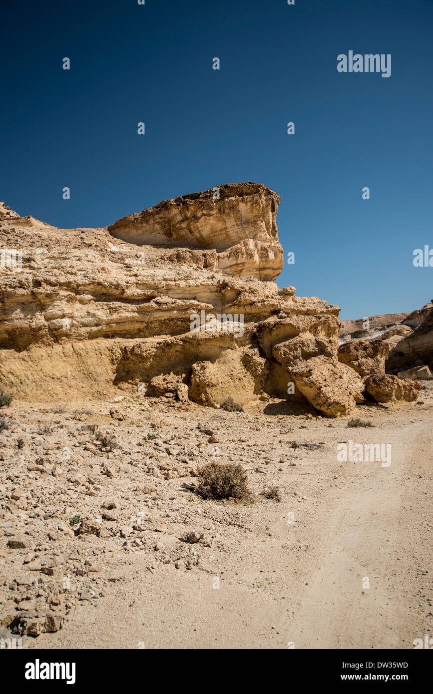 Negev Desert,Wadi Zin, Wilderness of Zin , Israel Stock Photo - Alamy