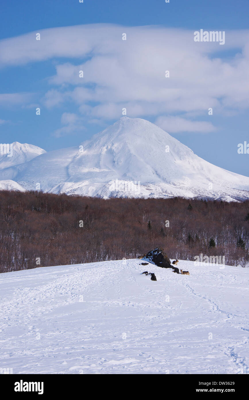 Mount Rausu, Hokkaido Stock Photo - Alamy