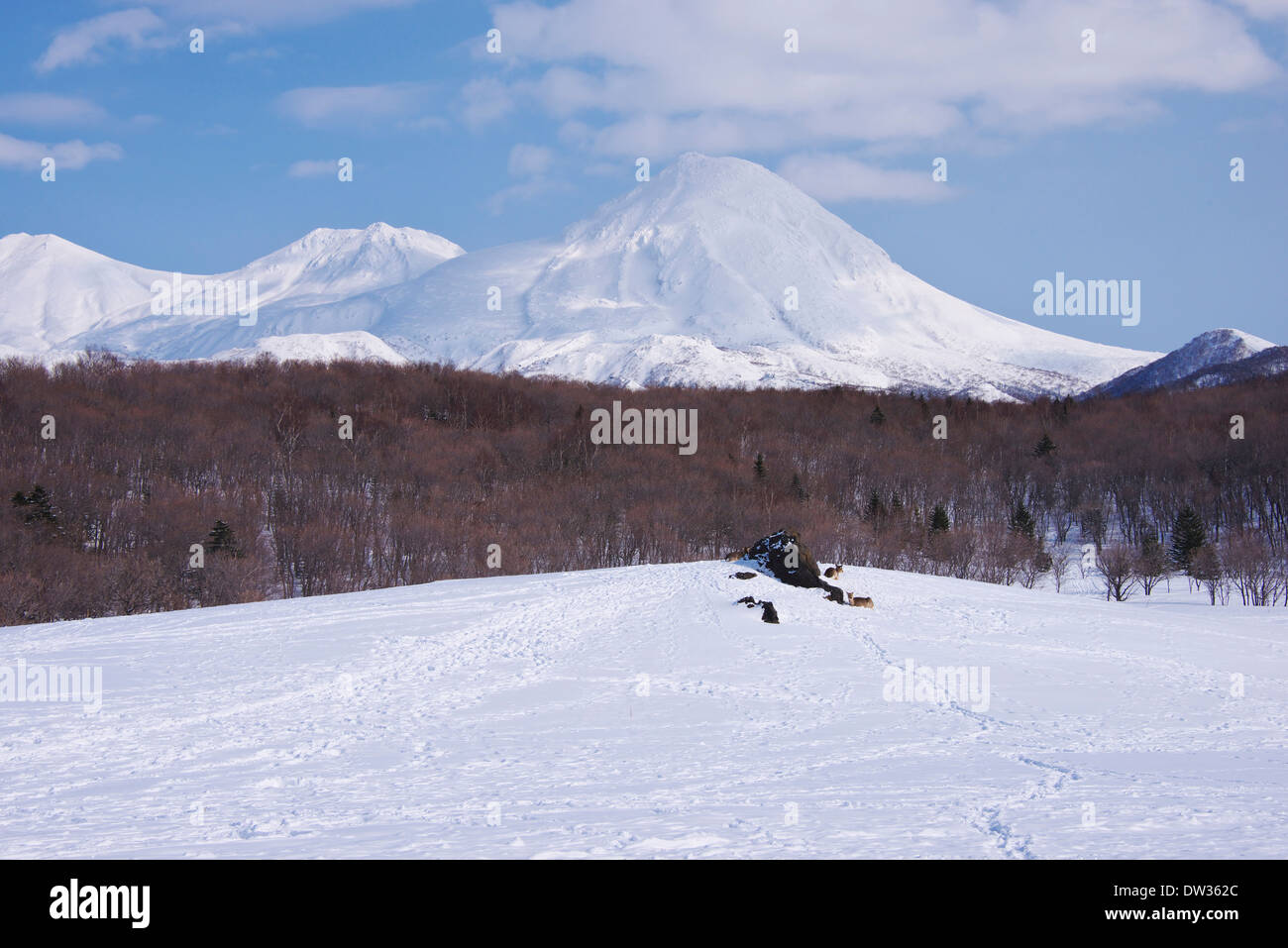 Mount Rausu, Hokkaido Stock Photo - Alamy