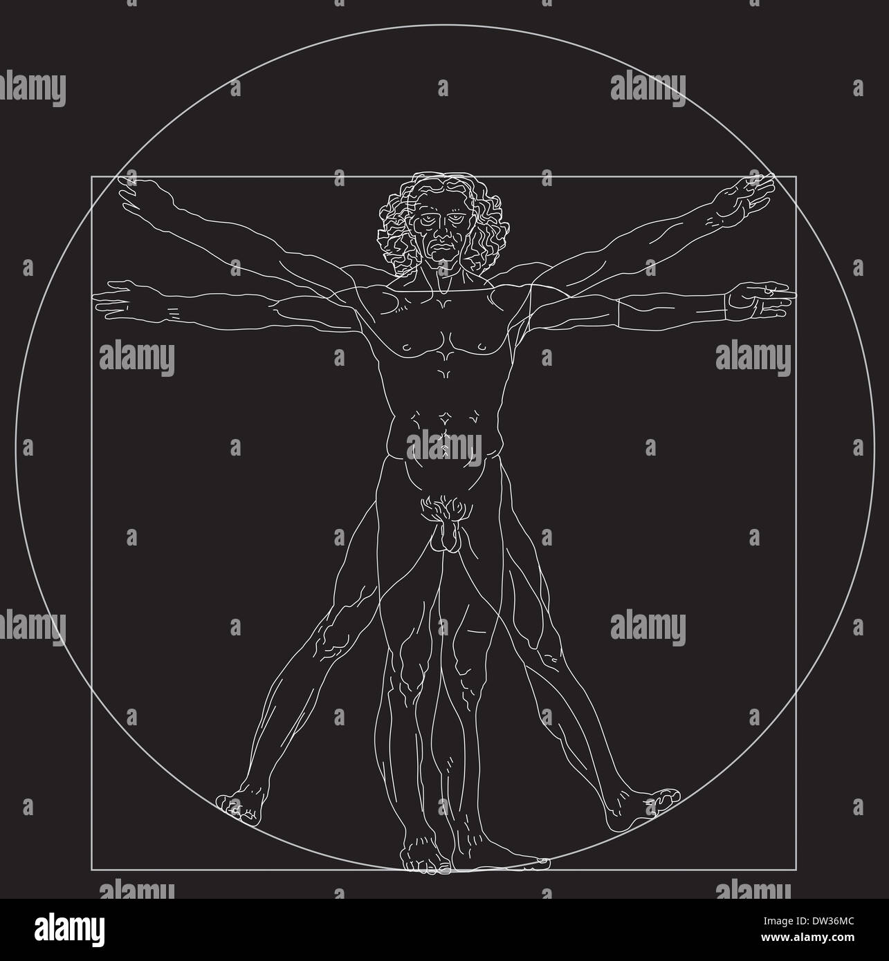 Vitruvius man leonardo da vinci hi-res stock photography and images - Alamy