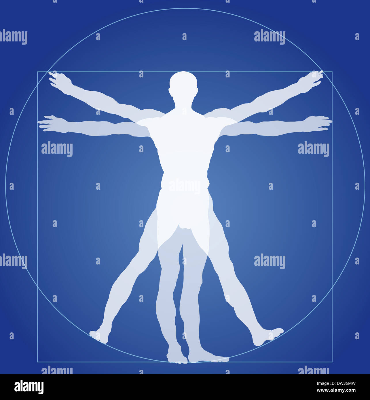 Vitruvius man leonardo da vinci hi-res stock photography and images - Alamy