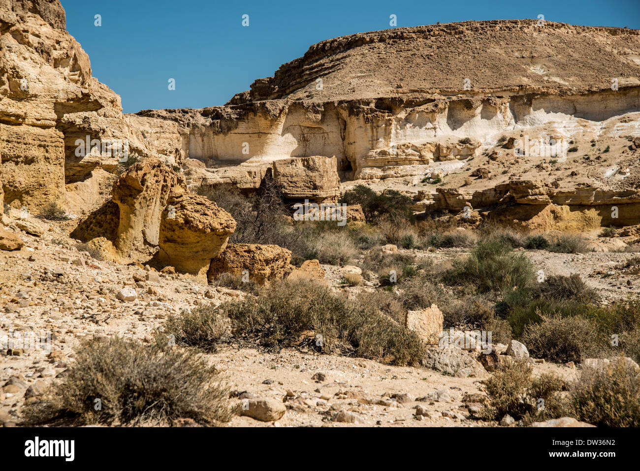 Negev Desert,Wadi Zin, Wilderness of Zin , Israel Stock Photo - Alamy