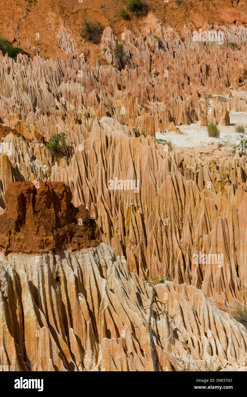 Tsingy rouge, madagascar hi-res stock photography and images - Alamy