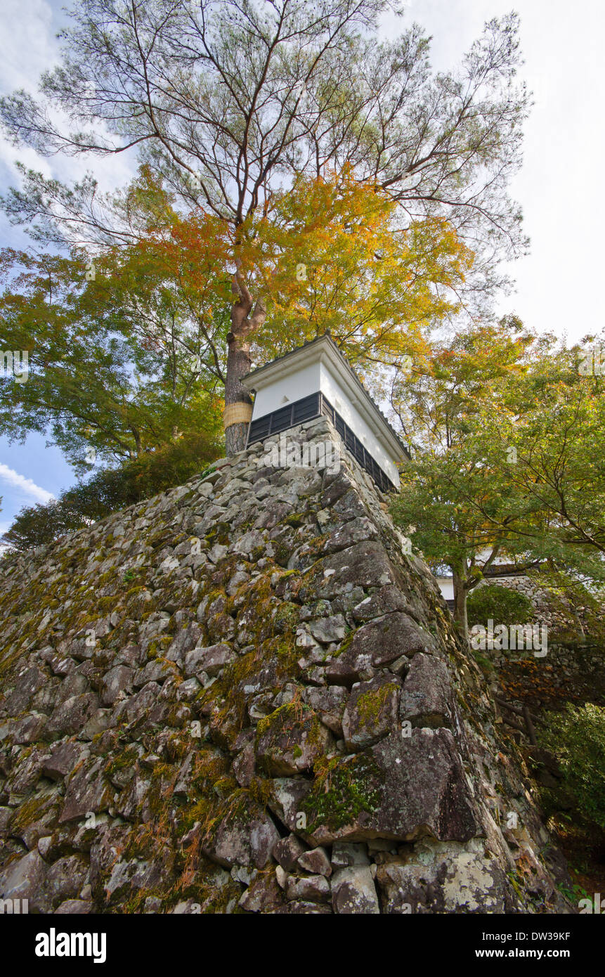 Gujo Hachiman castle, Gifu Prefecture Stock Photo - Alamy