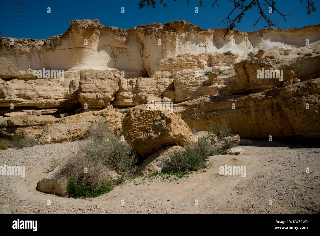 Negev Desert,Wadi Zin, Wilderness of Zin , Israel,Gev Zarchan Stock ...
