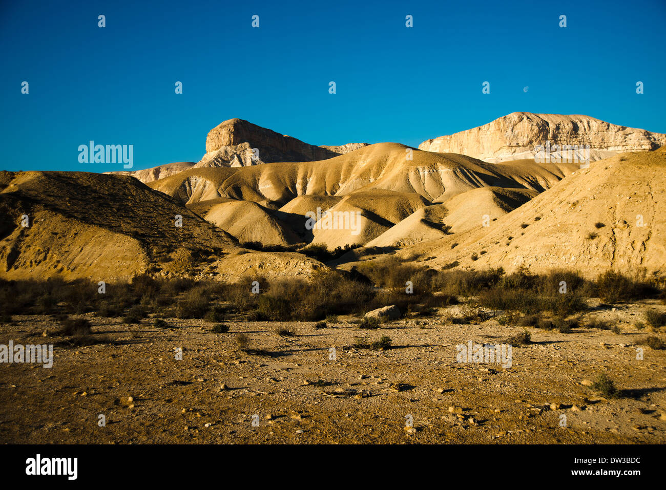 Negev Desert,Wadi Zin, Wilderness of Zin , Israel Stock Photo - Alamy