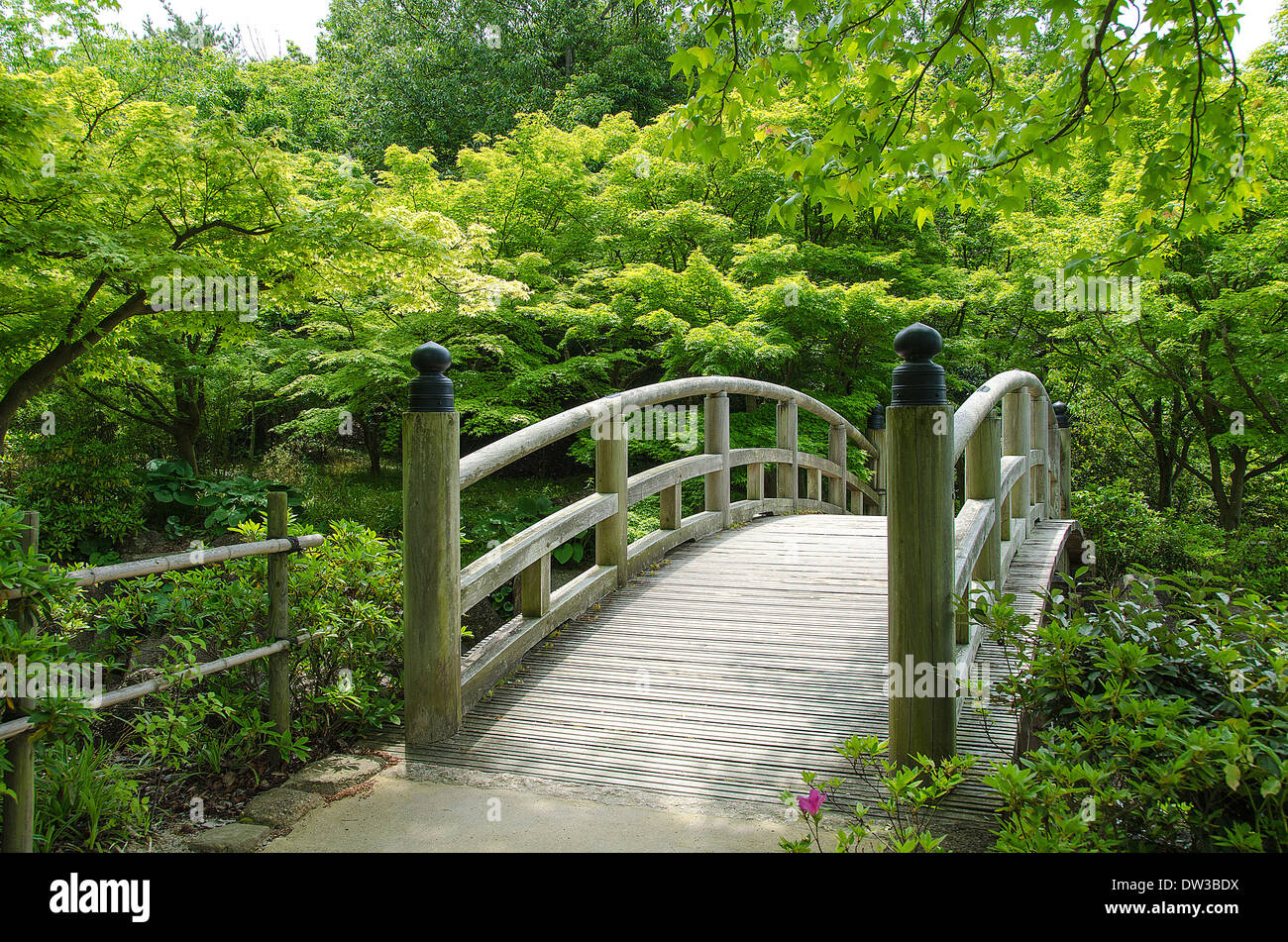 Arched bridge and trees Stock Photo - Alamy