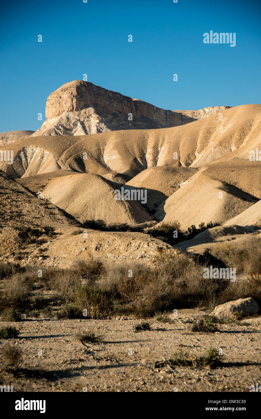 Negev Desert,Wadi Zin, Wilderness of Zin , Israel Stock Photo - Alamy