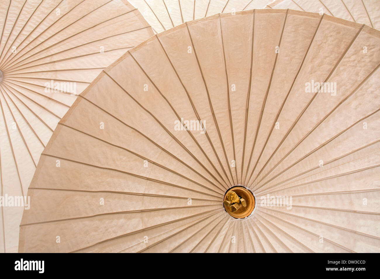 Umbrella Bamboo High Resolution Stock Photography and Images - Alamy