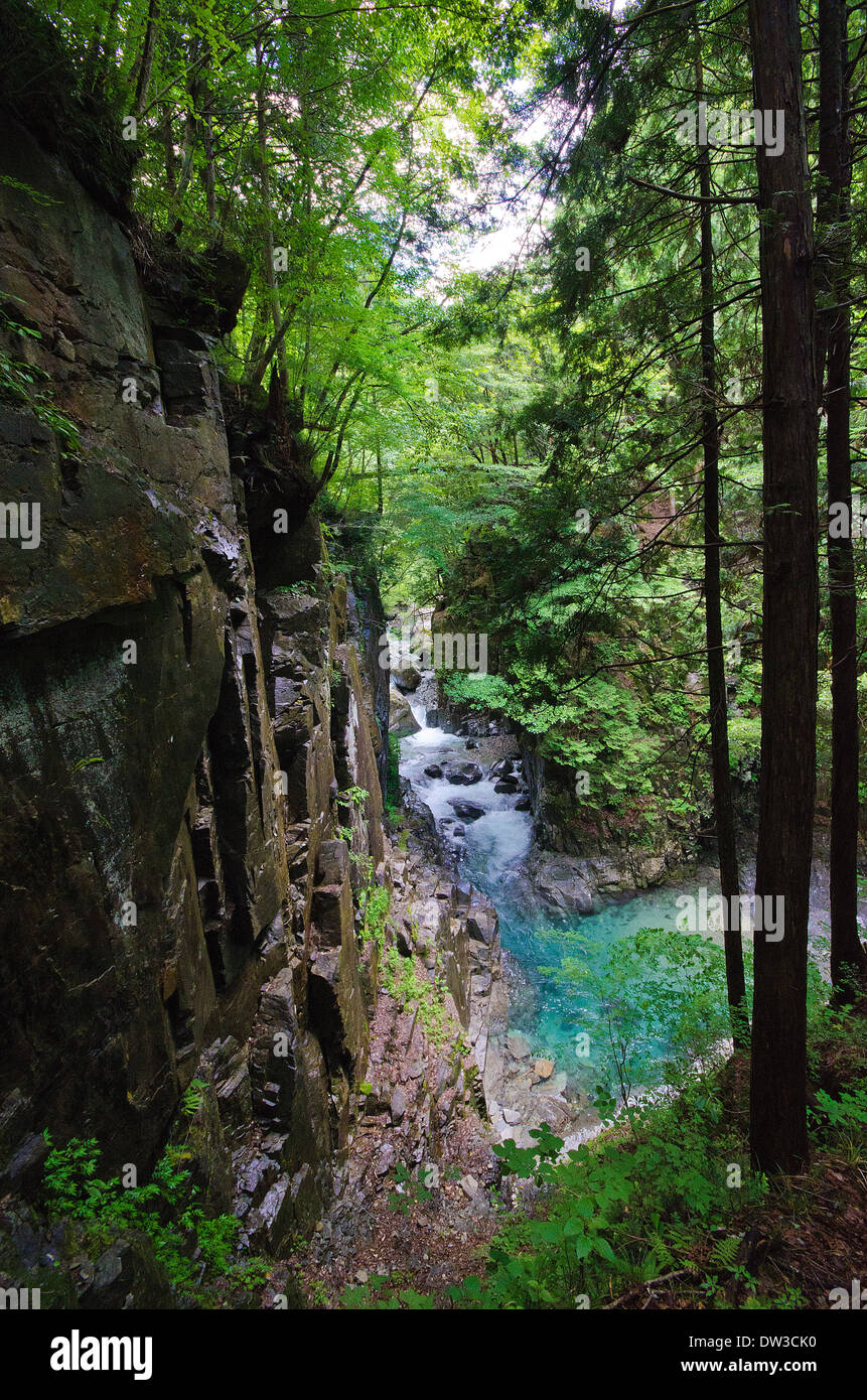Kannon Waterfall, Gifu Prefecture Stock Photo - Alamy