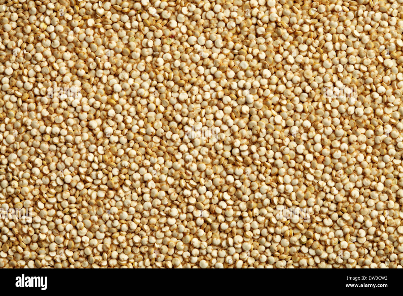 Quinoa pattern hi-res stock photography and images - Alamy
