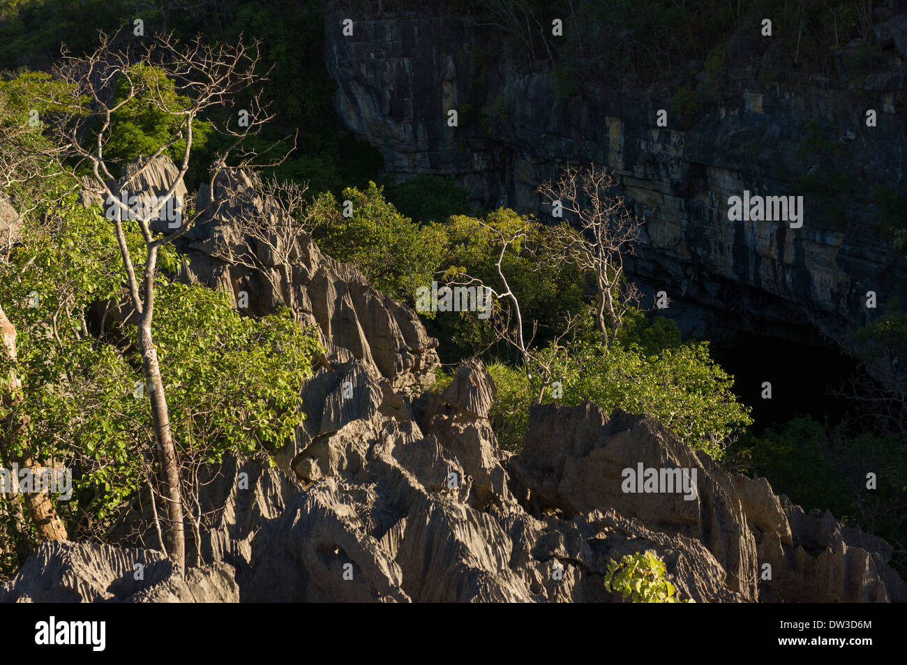 Tsingy eroded limestone formations at Ankarana Special Reserve near ...