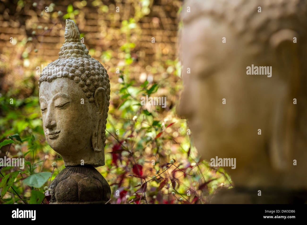 Stone Buddha head statue Stock Photo - Alamy