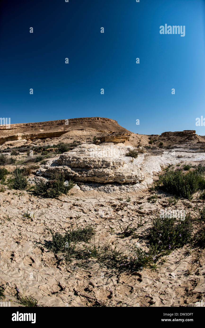 Negev Desert,Wadi Zin, Wilderness of Zin , Israel Stock Photo - Alamy