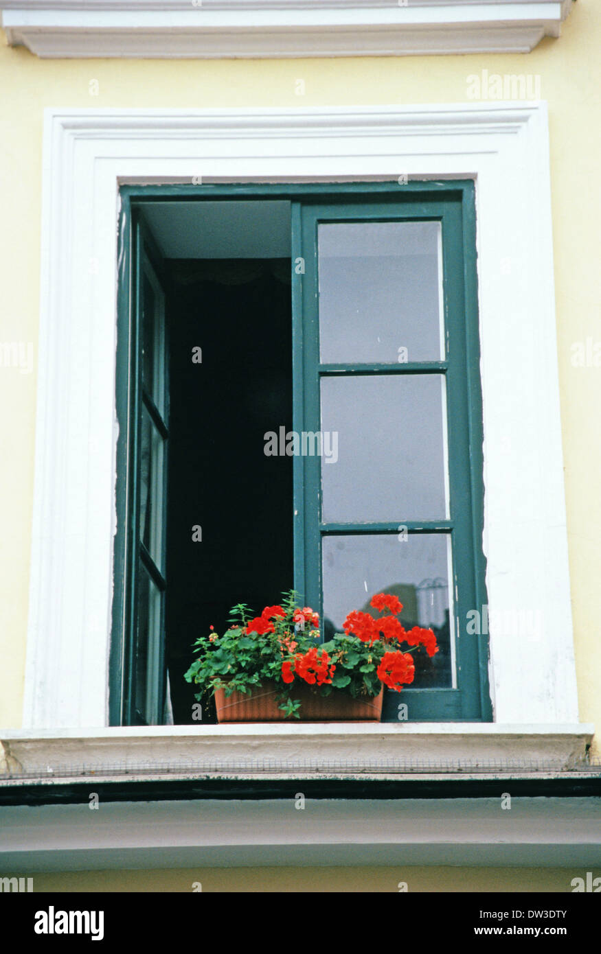 Flowers by the window Stock Photo - Alamy