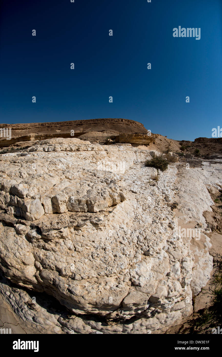 Negev Desert,Wadi Zin, Wilderness of Zin , Israel Stock Photo - Alamy
