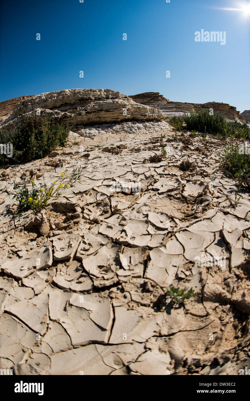 Negev Desert,Wadi Zin, Wilderness of Zin , Israel Stock Photo - Alamy