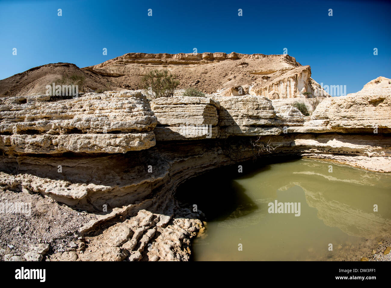 Negev Desert,Wadi Zin, Wilderness of Zin , Israel,oasis a nature ...