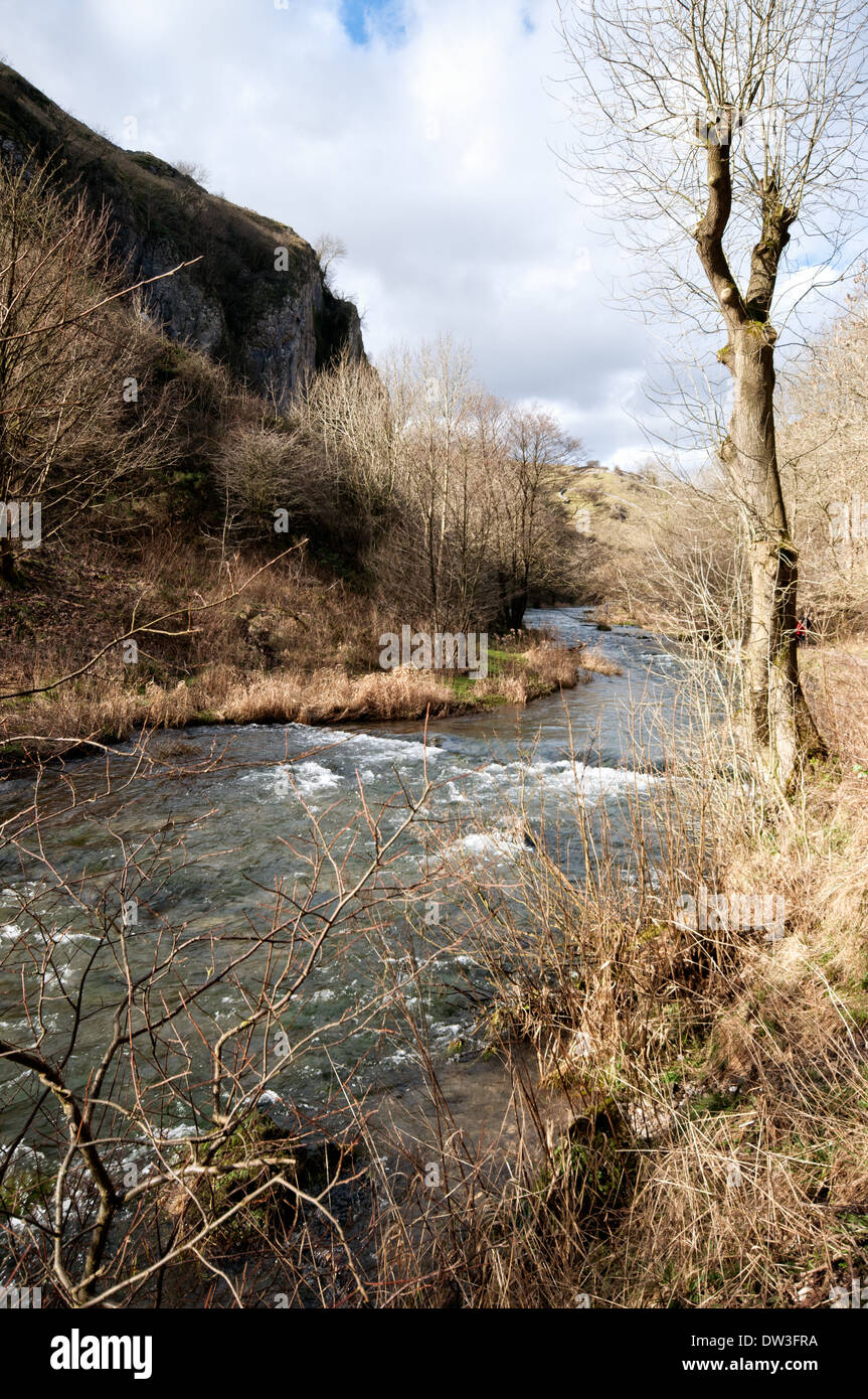 The river Dove, Dovedale, Peak District National Park Stock Photo - Alamy