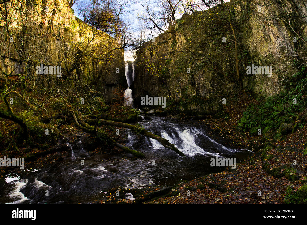 Catrigg Force waterfall on Stainforth Beck in the Yorkshire Dales ...